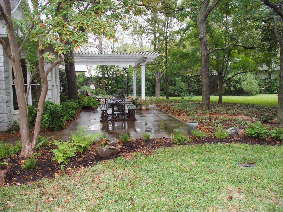 A Barren Landscape Goes Woodland - Traditional - Landscape - Dallas ...
