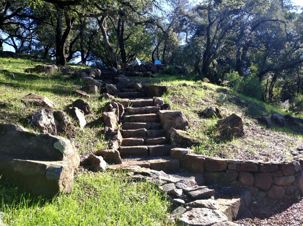 A Creek Runs Through It - Rustic - Landscape - San Francisco - by ...
