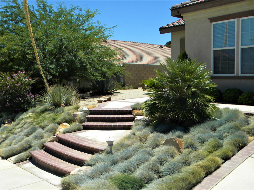 A Curbside View (Front yards) - Contemporary - Landscape - Los Angeles ...