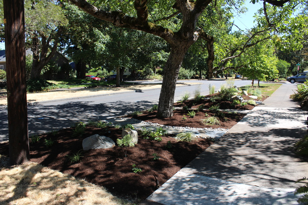 A garden under a Black Walnut - Landscape - Portland - by Optic Verve ...