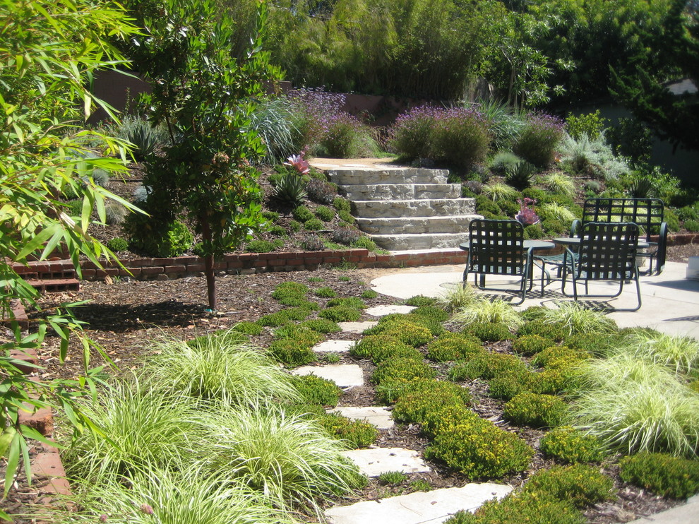 A hillside of weeds is transformed with California Natives, Grasses and ...