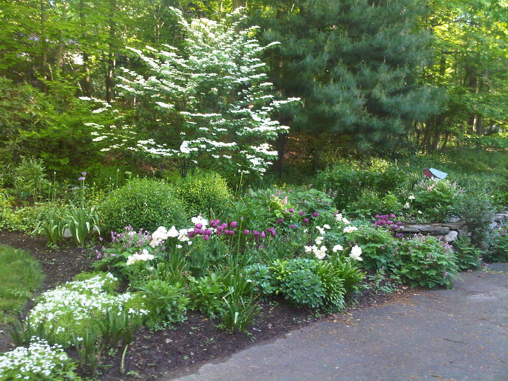 A late spring garden along the driveway - Rustic - Landscape - New York ...