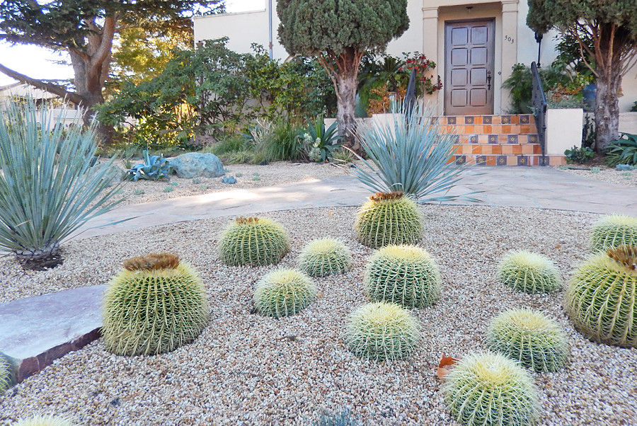 A Lawn to Xeriscape Garden Conversion - Southwestern - Landscape - San ...