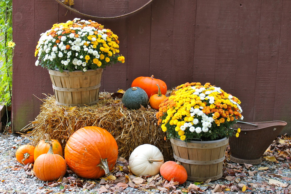 A little Fall Color - Farmhouse - Landscape - Providence - by Christine ...