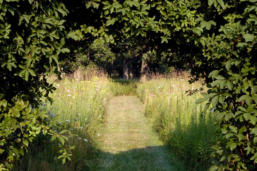 A Modern Farm House - Path through Native Prairie - Rustic - Landscape ...