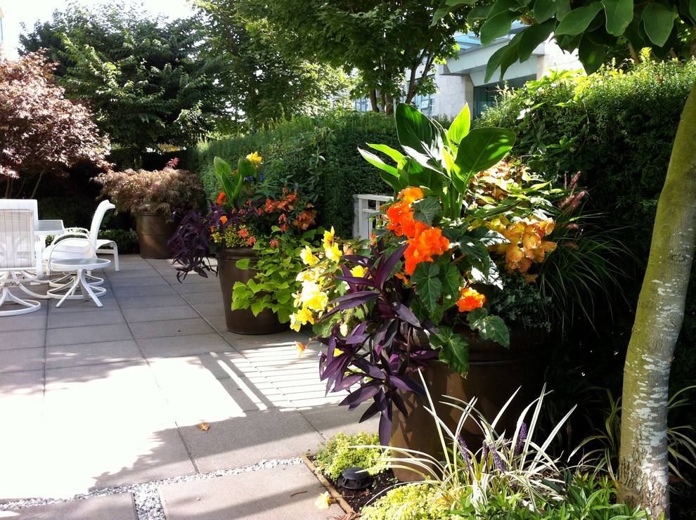 A Modern Tropical Garden 2012 - Tropical - Landscape - Vancouver - by ...
