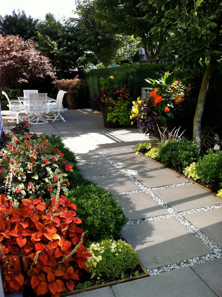 A Modern Tropical Garden 2012 - Tropical - Landscape - Vancouver - by ...