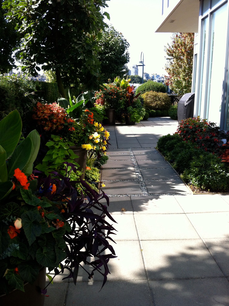A Modern Tropical Garden 2012 - Tropical - Landscape - Vancouver - by ...