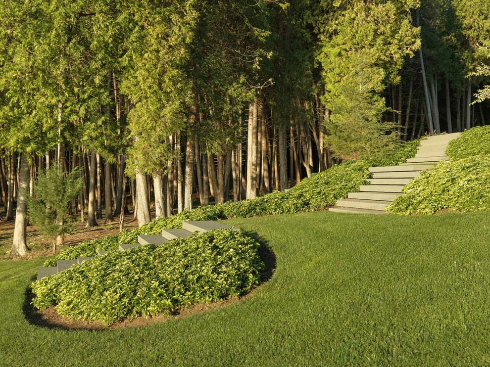 A Modernist Oasis - Transitional - Landscape - Burlington - by ...