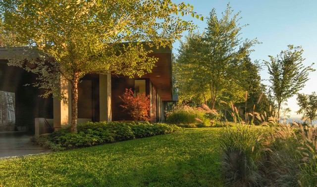 A Modernist Oasis - Transitional - Garden - Burlington - by Distinctive ...