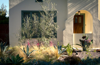 A Natural Refuge in Hollywood - Front Yard - Mediterranean - Landscape ...