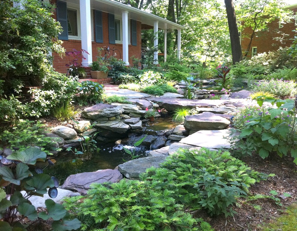 A Pond for the Front Entry - Eclectic - Landscape - DC Metro - by Mary ...