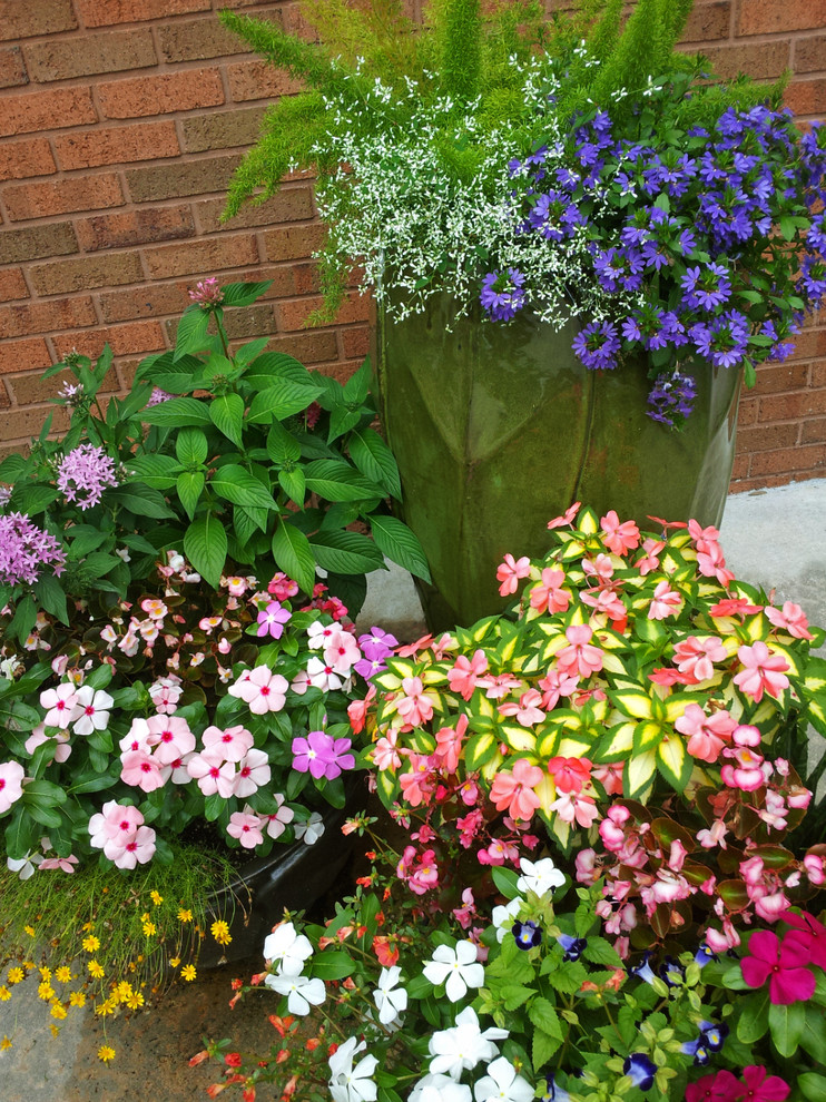 A Public Library goes for Color! - Contemporary - Landscape - Orlando ...