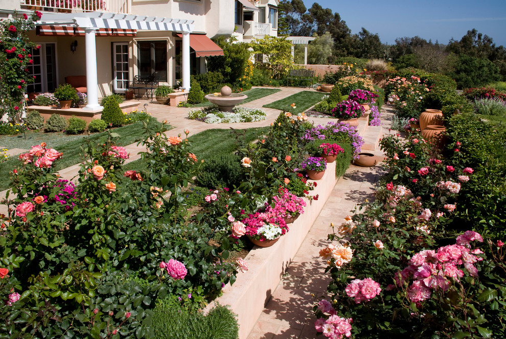 A Rosarian's Dream Garden - Traditional - Landscape - Santa Barbara ...