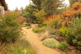 A Santa Rosa Project - Traditional - Landscape - San Francisco - by The ...