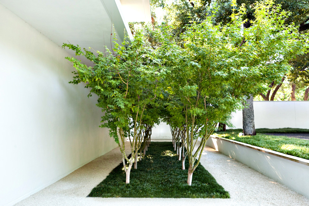 A True Work of Art - Modern - Landscape - Dallas - by Southern ...