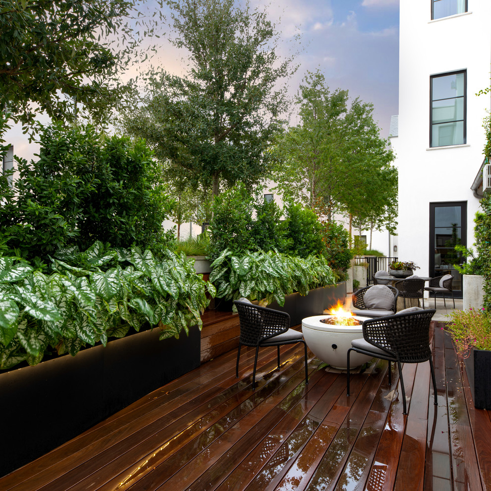 ABBOTT - Transitional - Landscape - Dallas - by DDLA Design Landscape ...