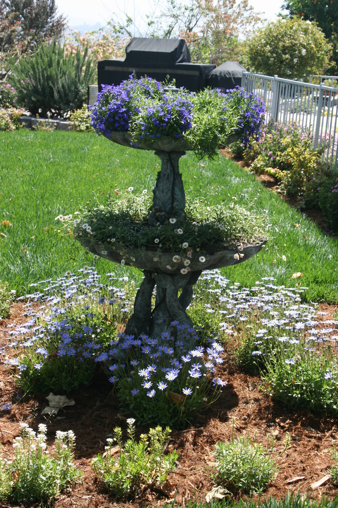 Accent Ideas for your Landscape Project - Traditional - Garden - San ...