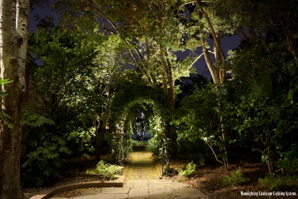 After Ten Years, Moonlighting Returns To A Familiar Garden ...