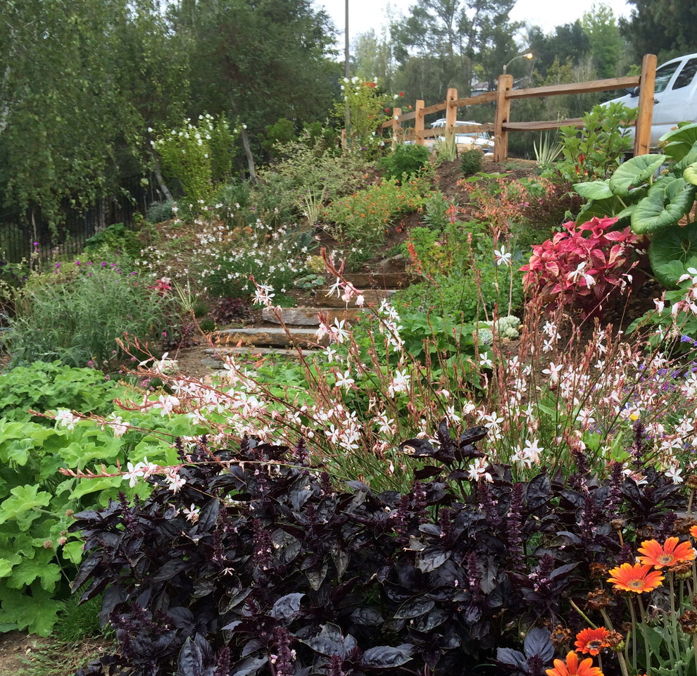 Alexander Residence - Traditional - Landscape - Los Angeles - by ...