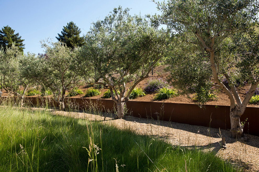 Alhambra Valley - Transitional - Landscape - San Francisco - by ...