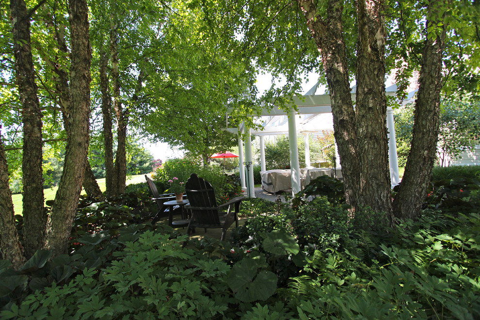 Alyce's naturalist planting and patio - Traditional - Garden ...