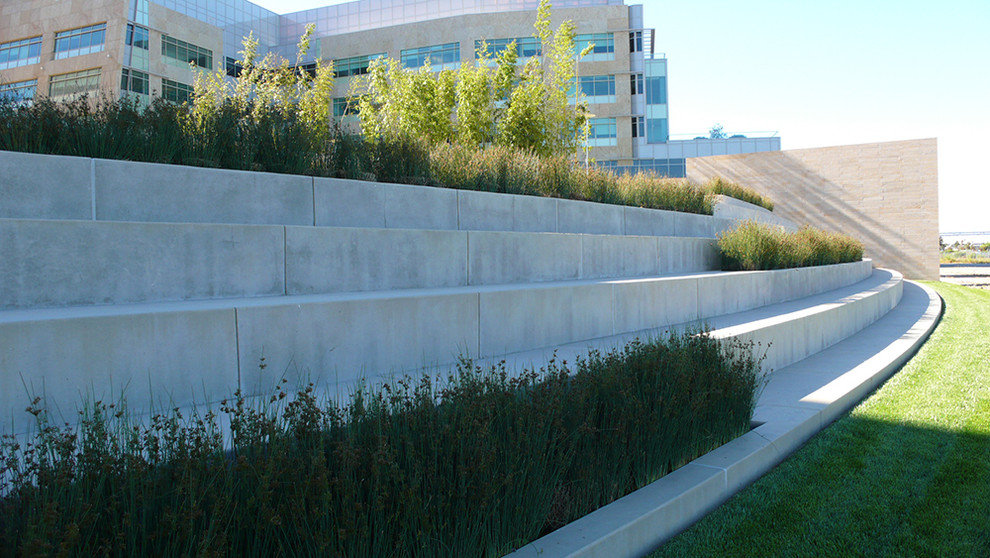 Amphitheater with Ornamental Grasses - Contemporary - Garden - San ...