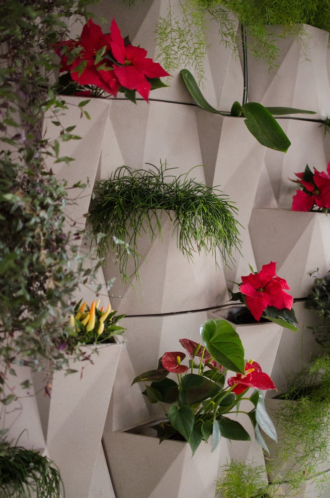 Angolo Wall planters - Modern - Landscape - Other - by Japi Pottery | Houzz