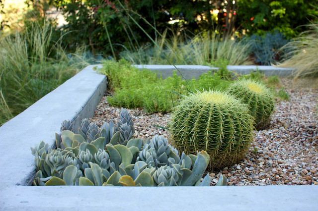 Annie House - Modern - Garden - Austin - by 9 square studio | Houzz AU