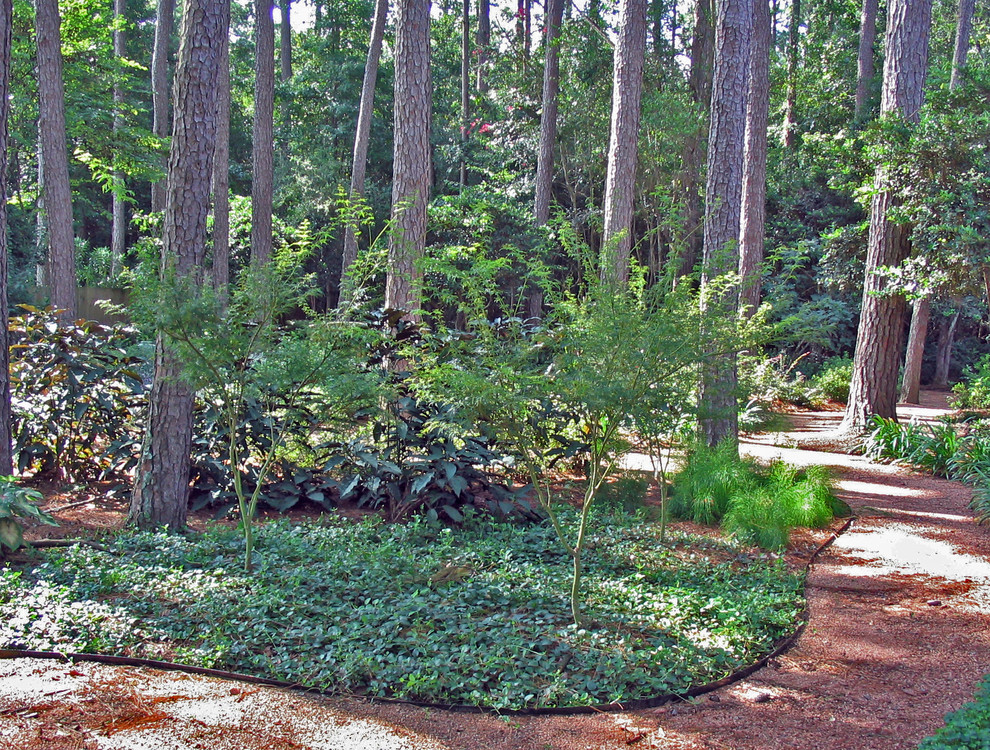 Arboretum landscape in Cleveland Texas - Traditional - Landscape ...