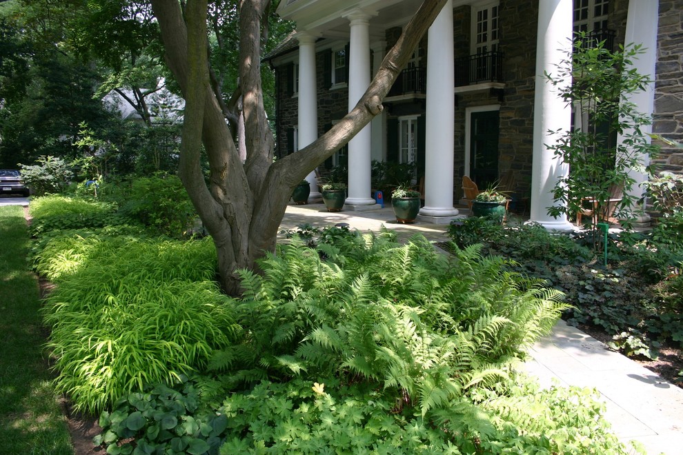 Ardmore Landscape Designer | Neo Classical Residence - Traditional ...