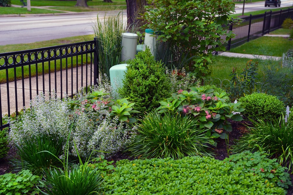 Arlington Heights Traditional Chicago Front Yard - Landscape - Chicago ...