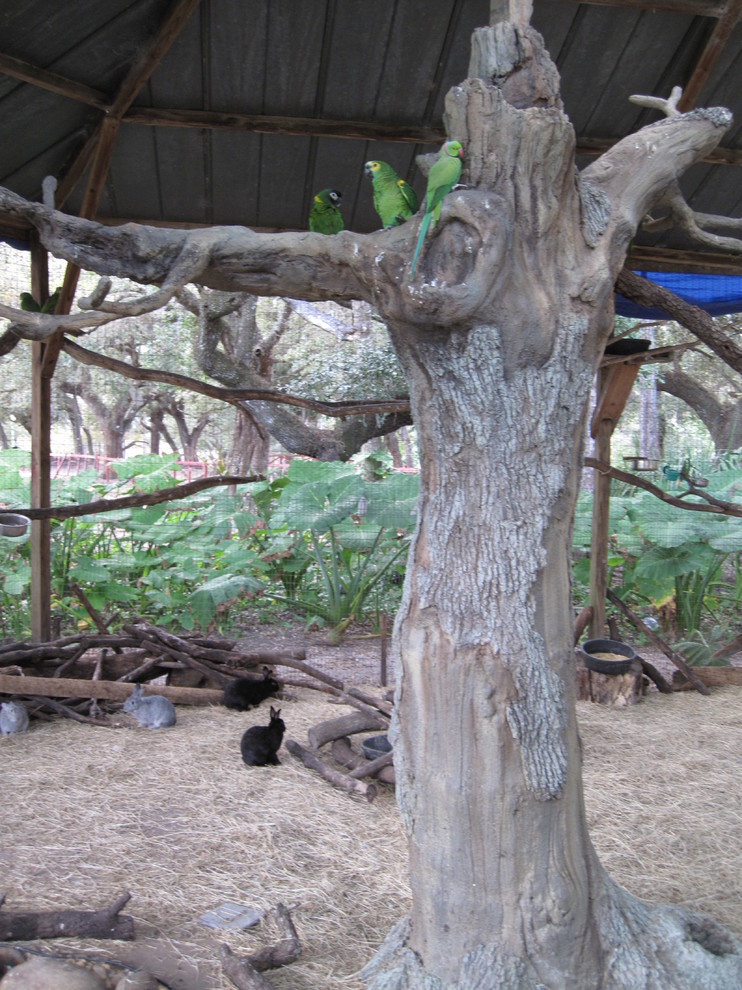 Artifical Dead Oak Trees in Private Bird Aviary - Traditional - Garden ...