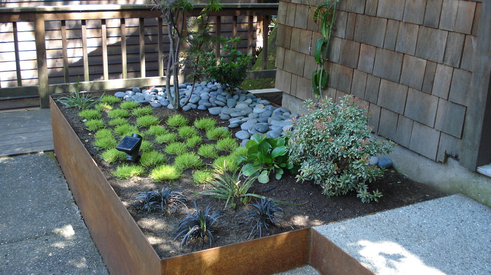 Asian Contemporary - Asian - Landscape - San Francisco - by Firma ...