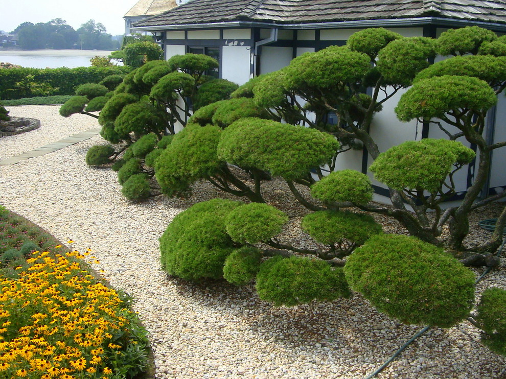 ASIAN GARDENS - Asian - Landscape - New York - by Morano Landscape ...