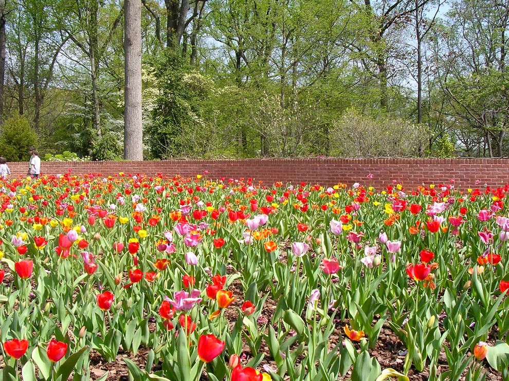 Atlanta Botanical Gardens Spring 2012 - Landscape - Atlanta | Houzz