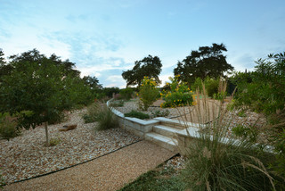 Austin Xeriscape - Modern - Landscape - Austin - by Southern Landscape ...