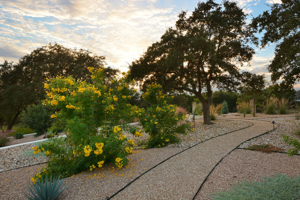 Austin Xeriscape - Modern - Landscape - Austin - by Southern Landscape ...