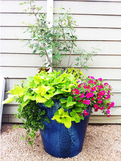 B, Texas Tech, landscape architecture alum design, landscape design ...