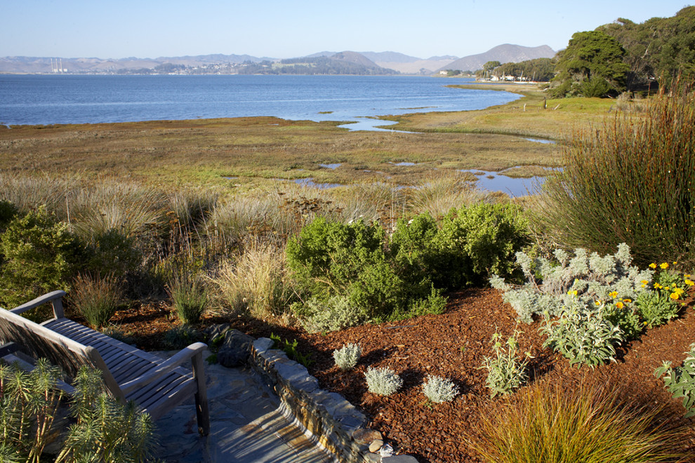 Back Bay Retreat - Beach Style - Landscape - San Luis Obispo - by ...