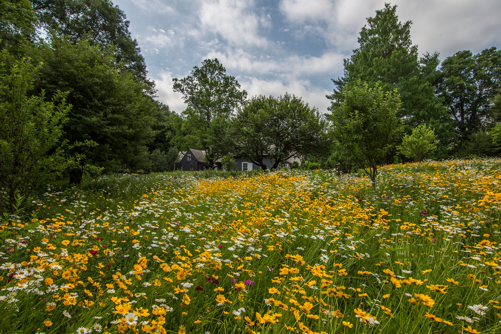 Back Country Sanctuary - Traditional - Landscape - New York - by Louis ...