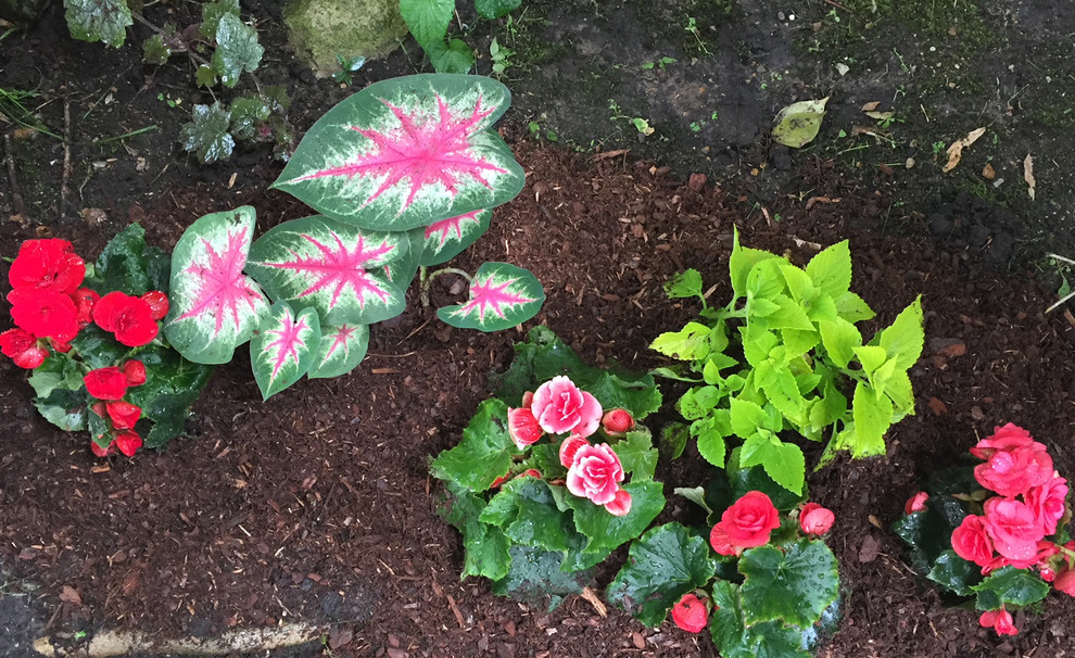 Back yard shrubbery | Artistry Landscaping Design - Landscape - Chicago ...