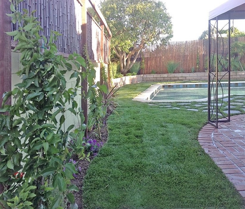 Backyard Design--Hardscape & Softscape - Traditional - Landscape - Los ...