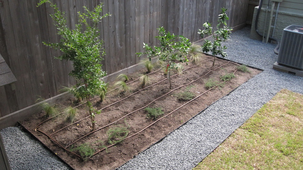 Backyard Farm with Chickens - Contemporary - Landscape - Houston - by ...
