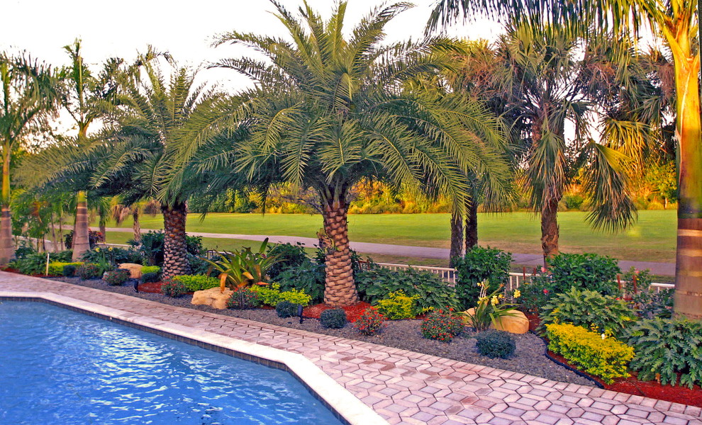 Backyard Landscape - South Florida - Tropical - Landscape - Miami - by ...