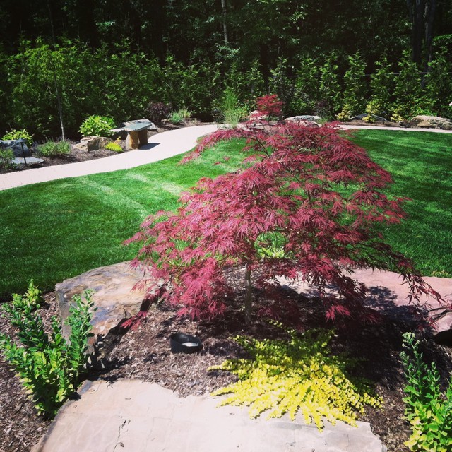 backyard landscape waterfall,paver patio with paver pathway ...