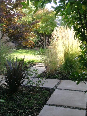 Backyard organized with low walls. - Contemporary - Landscape - San ...