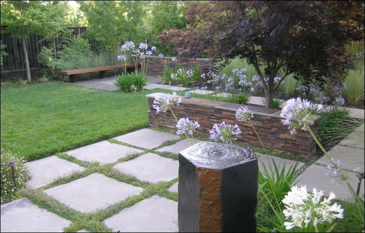 Backyard organized with low walls. - Contemporary - Landscape - San ...