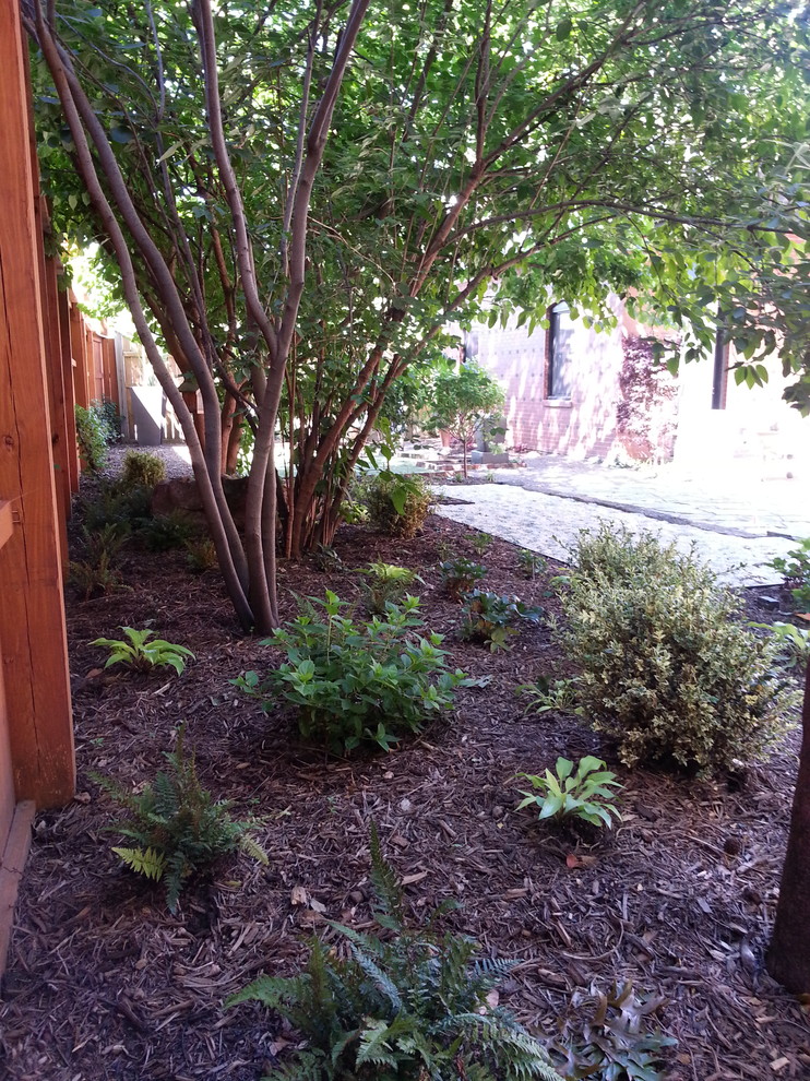 Backyard Overhaul - Traditional - Landscape - St Louis - by Simply ...