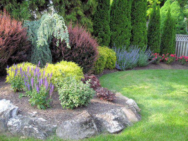 Backyard Perimeter Garden Design - Traditional - Garden - New York - by ...